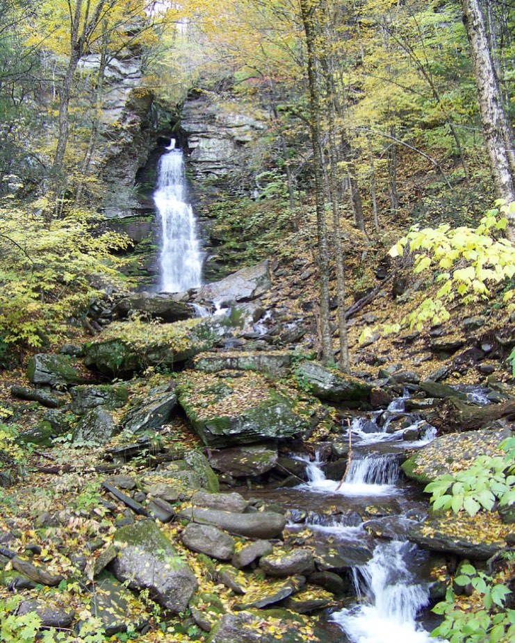 Forestry Past and Present: A Catskill Mountain Perspective - Time and ...