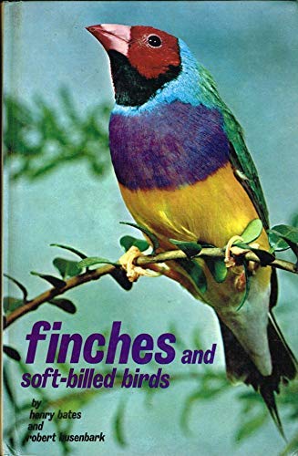 Finches and Soft-Billed Birds - Time and The Valleys Museum