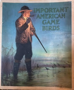 Important American Game Birds - Time and The Valleys Museum